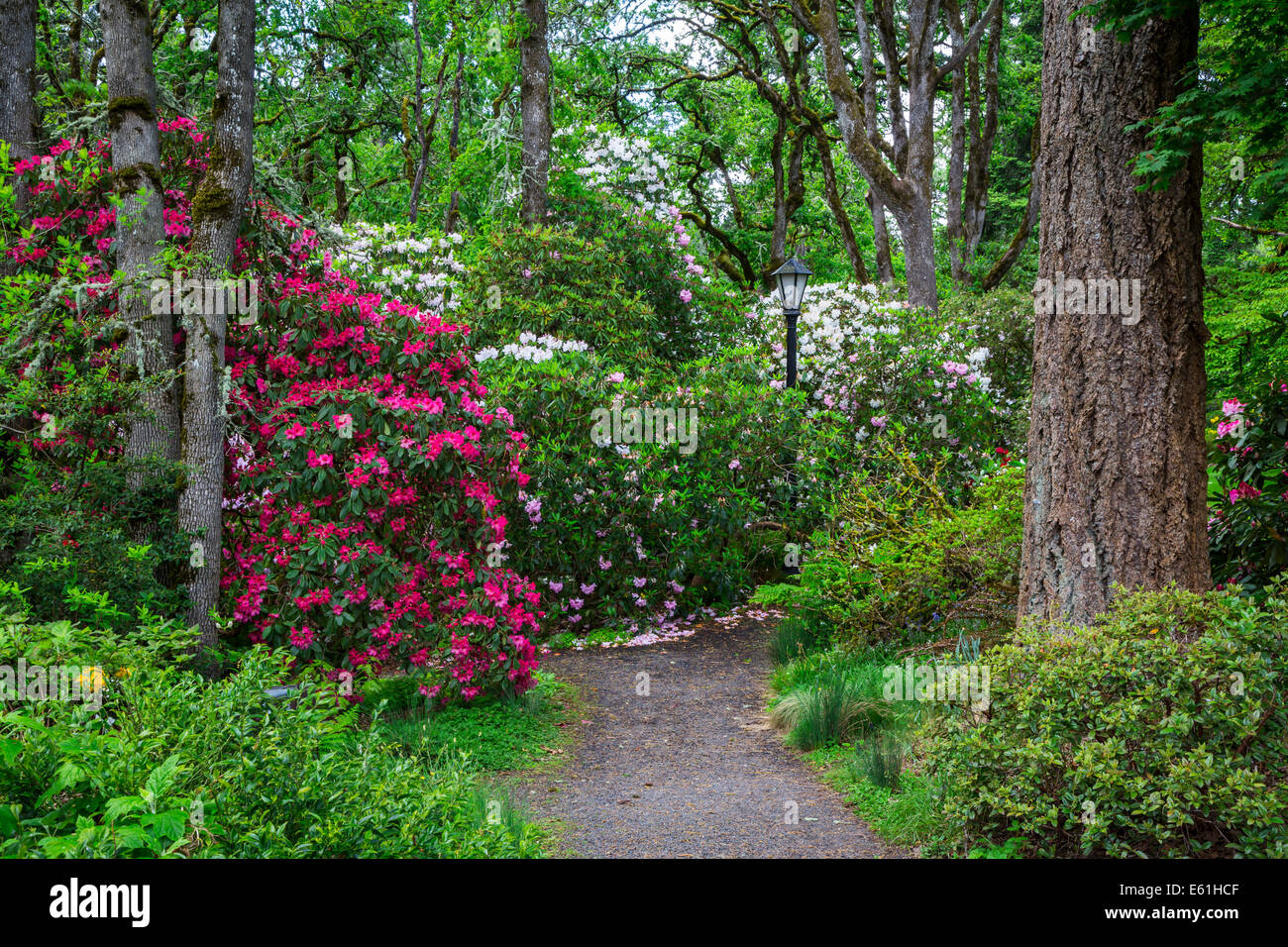 Eugene Park High Resolution Stock Photography and Images - Alamy