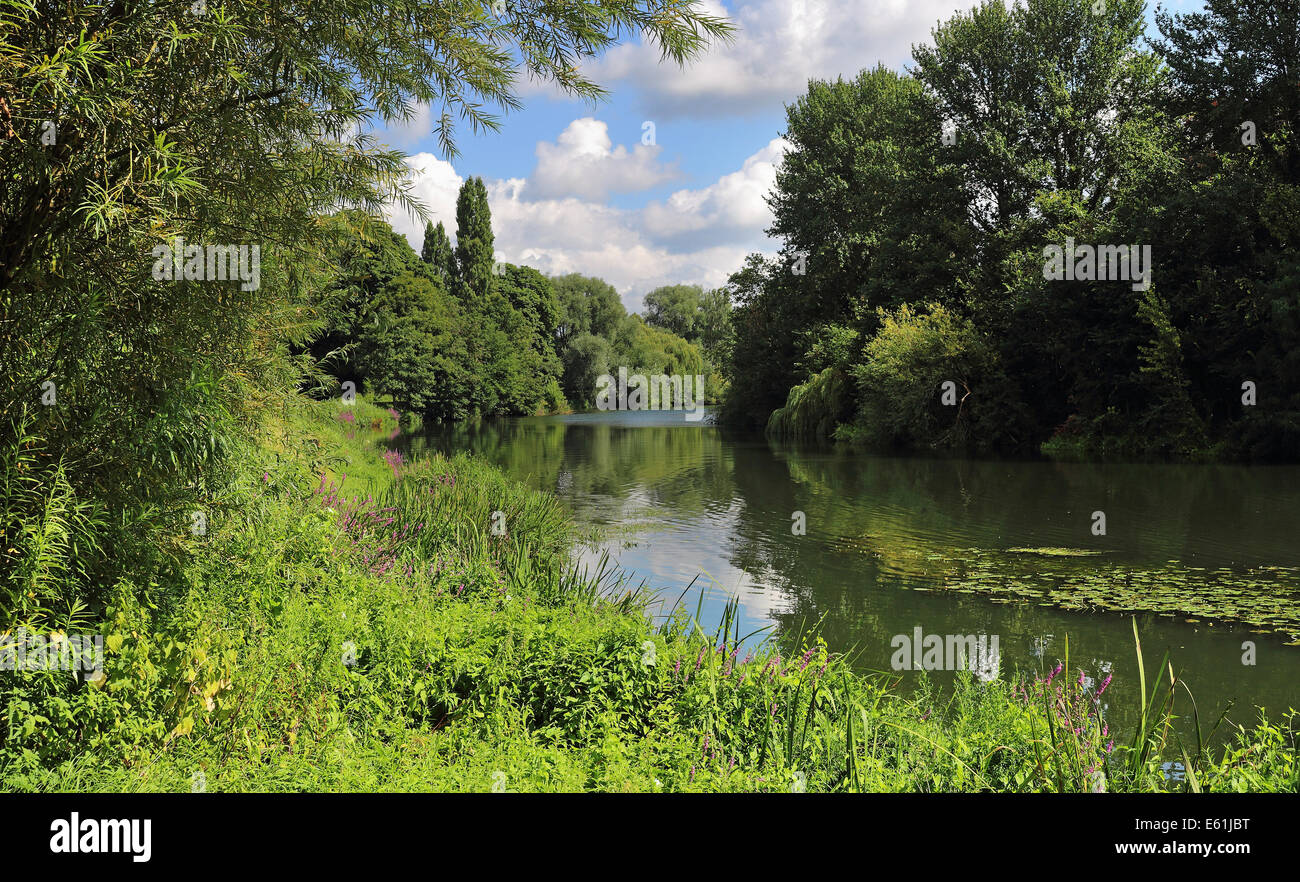 The River Thames viewed from the riverbank in Eton in Summer Stock ...