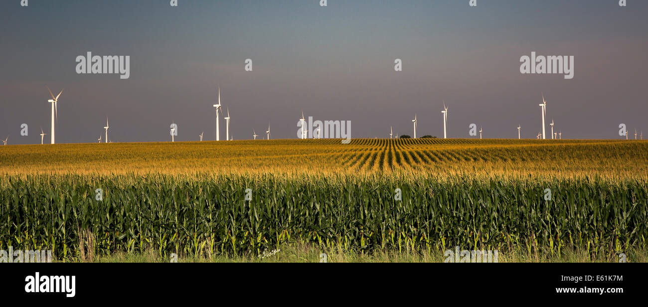 Pomeroy, Iowa - A wind farm in rural Iowa. Iowa has the highest density ...