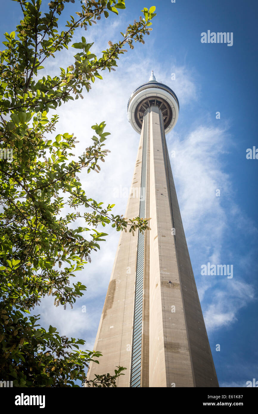 Famous toronto skyline cn tower hi-res stock photography and images - Alamy