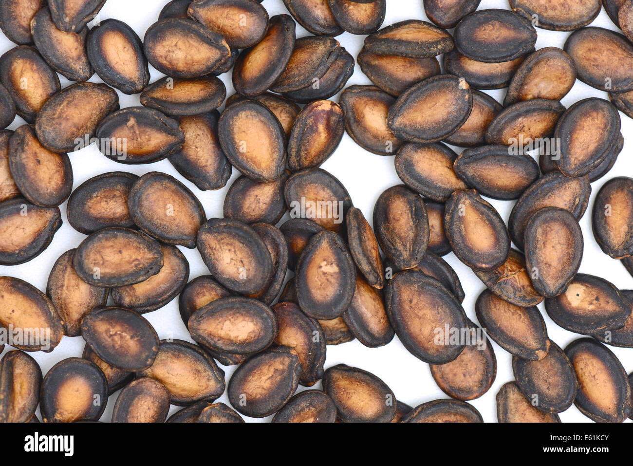 Melon seeds hi-res stock photography and images - Alamy