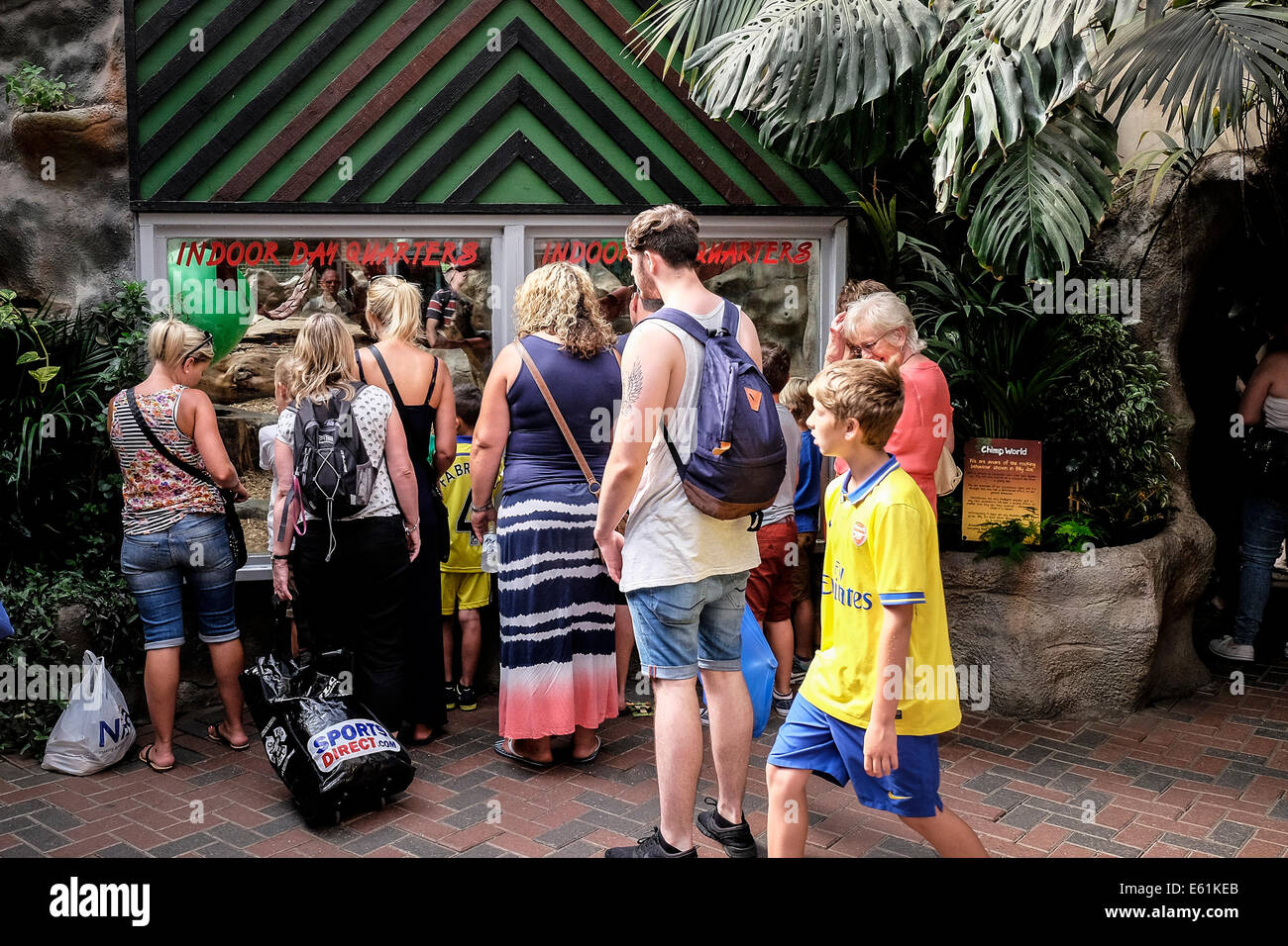 Animal exhibit hi-res stock photography and images - Alamy