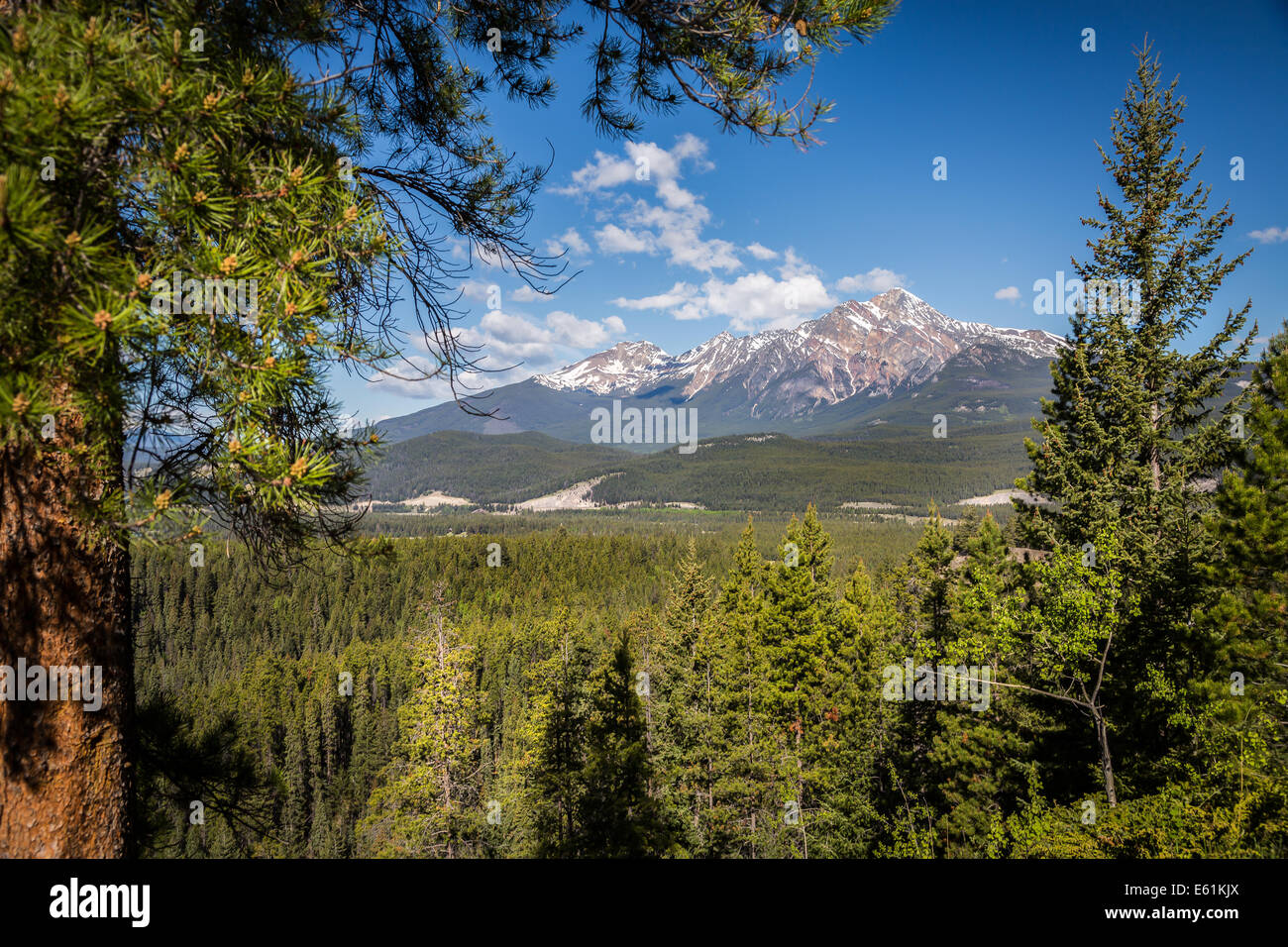 View of Pyramid Mountain, Jasper, Canada, North America Stock Photo - Alamy