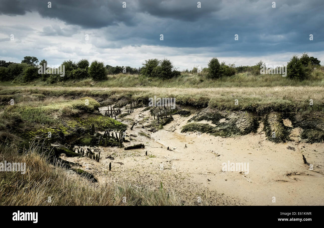 The saltings at Wallasea Island in Essex Stock Photo - Alamy