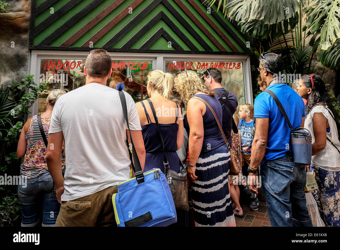 Looking at animals hi-res stock photography and images - Alamy