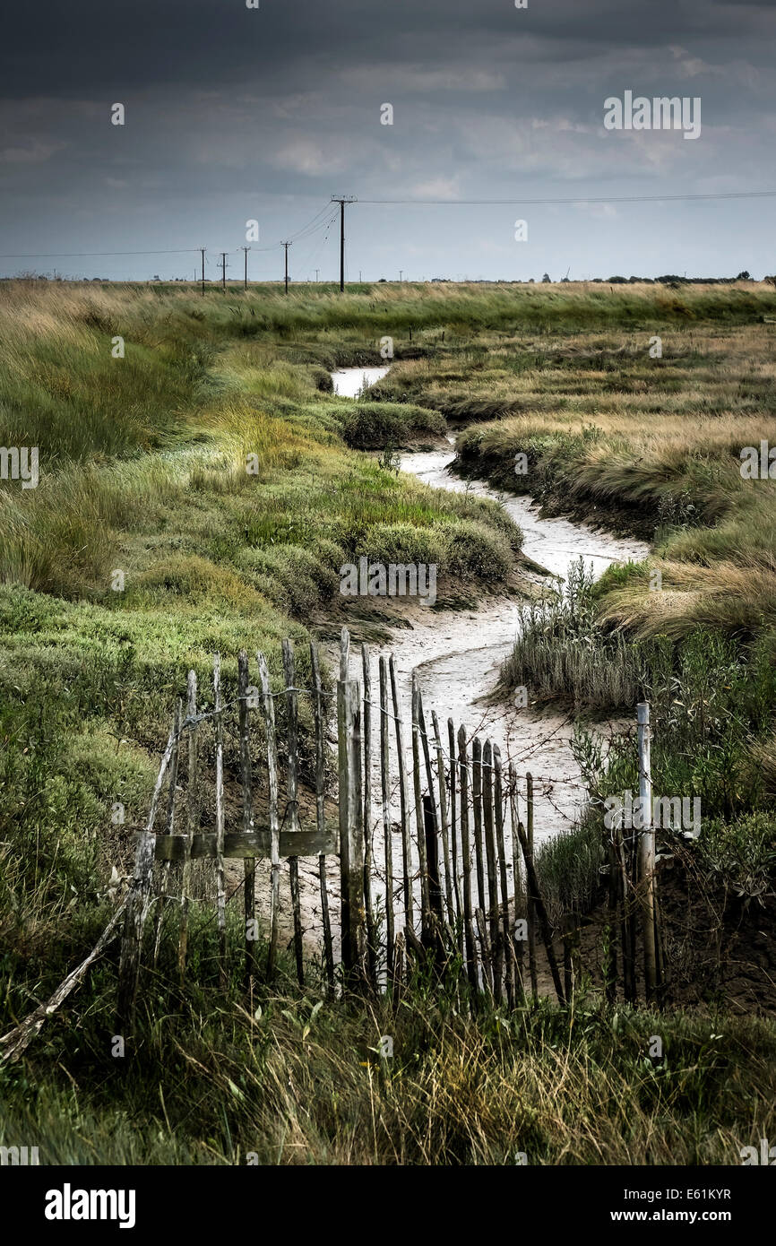 Saltings hi-res stock photography and images - Alamy