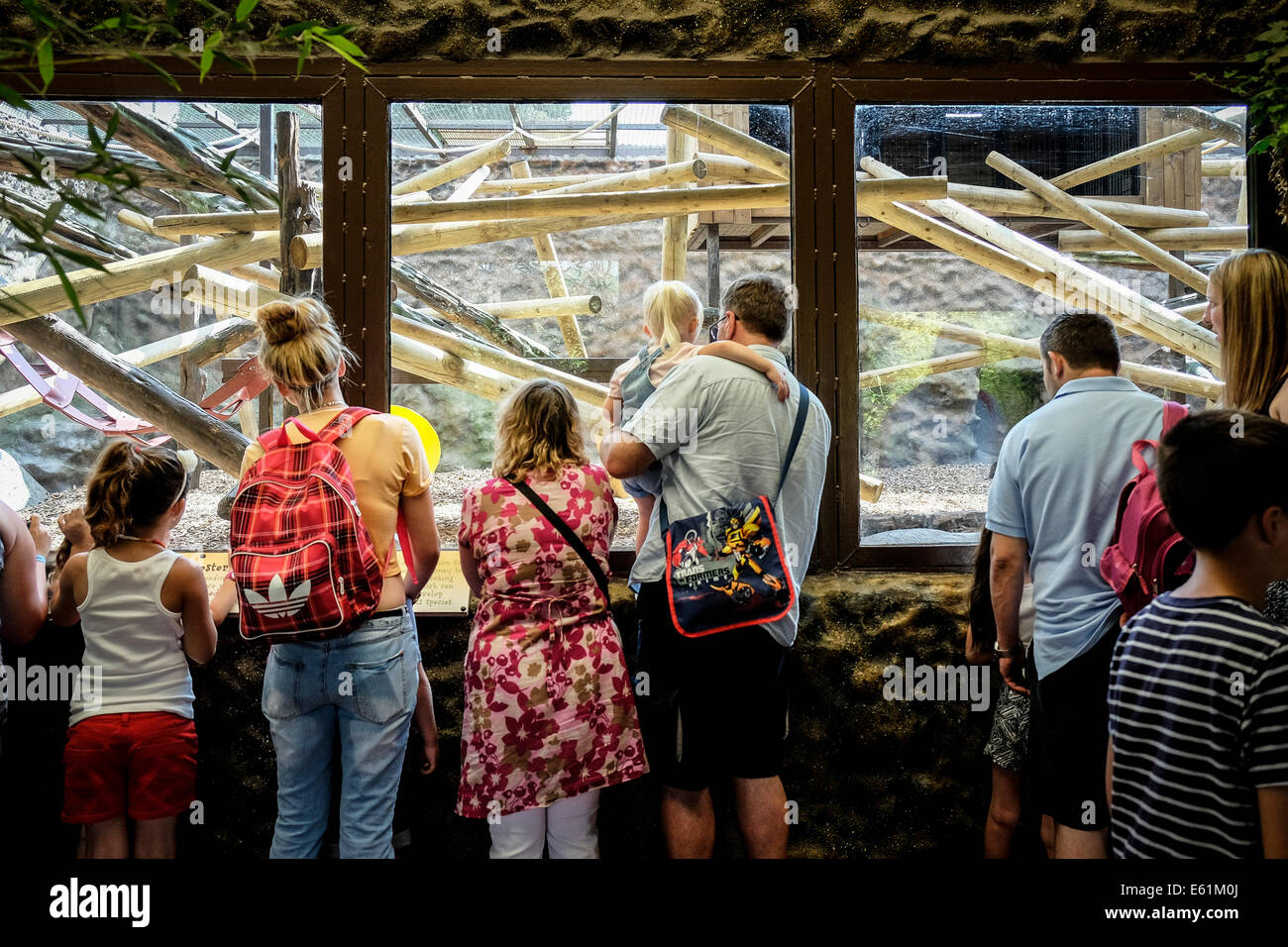 Zoo Exhibit Visitors High Resolution Stock Photography and Images - Alamy