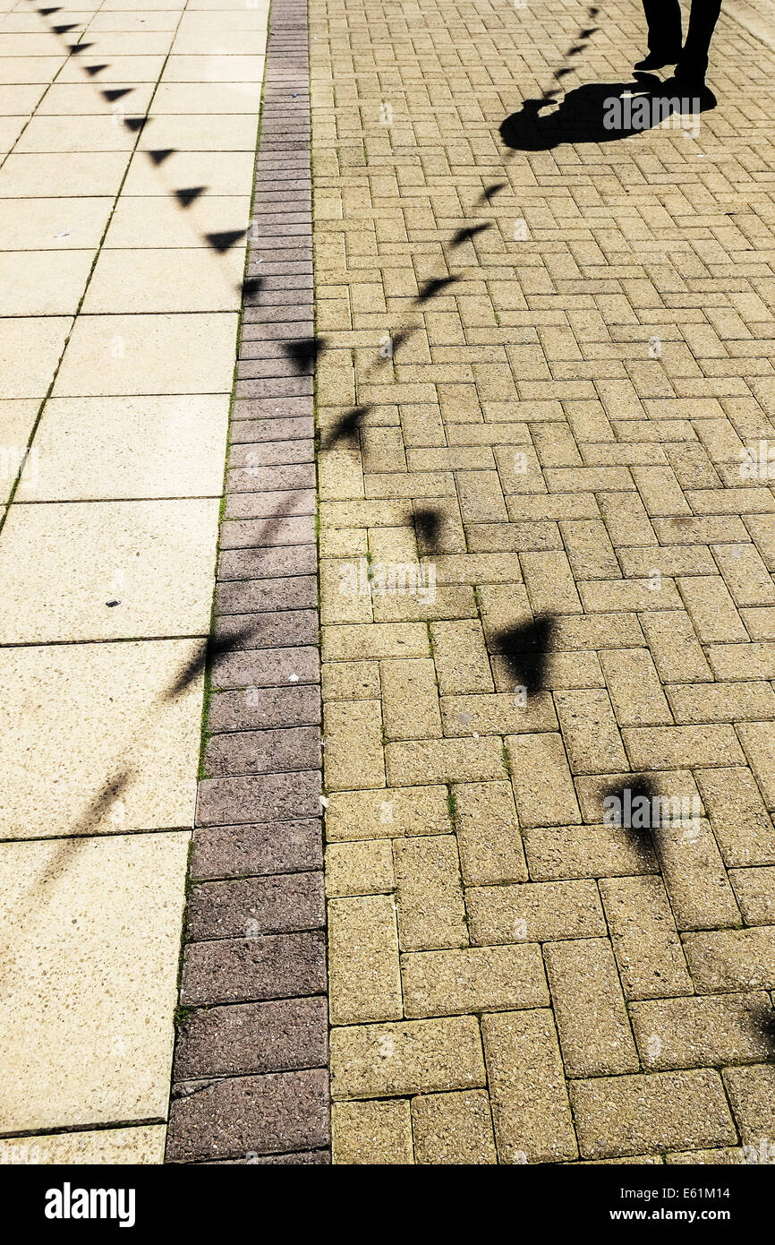 Shadows cast on the ground Stock Photo - Alamy