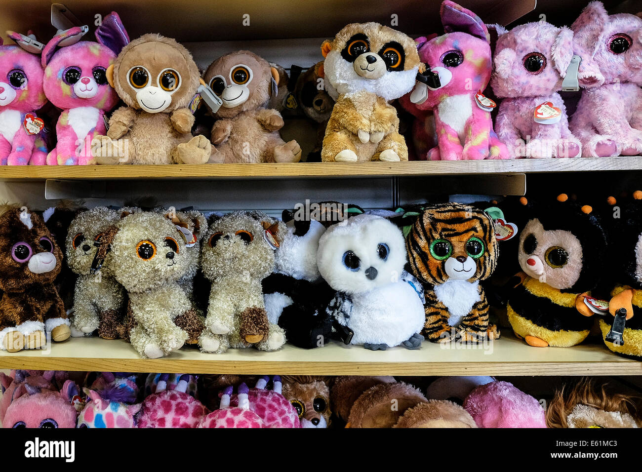 Soft toys hi-res stock photography and images - Alamy