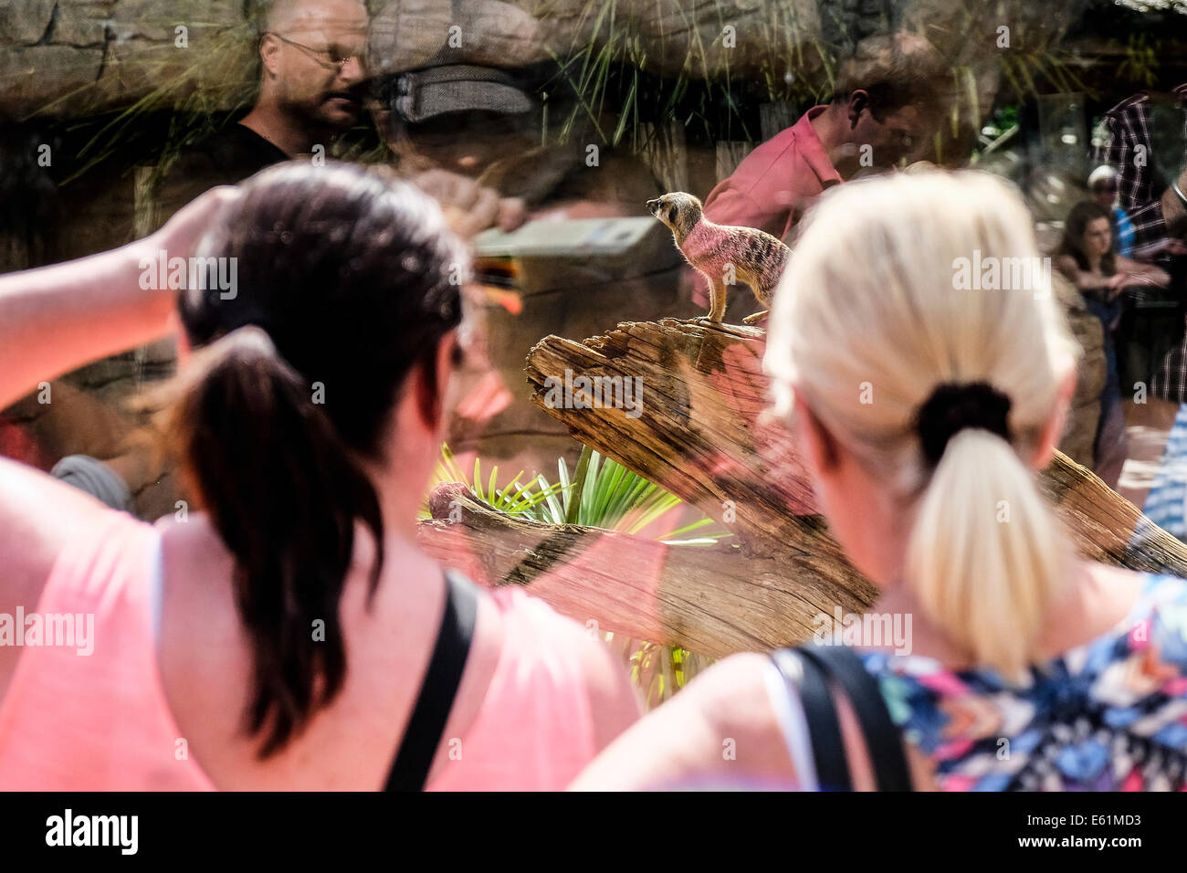 Animal exhibit hi-res stock photography and images - Alamy