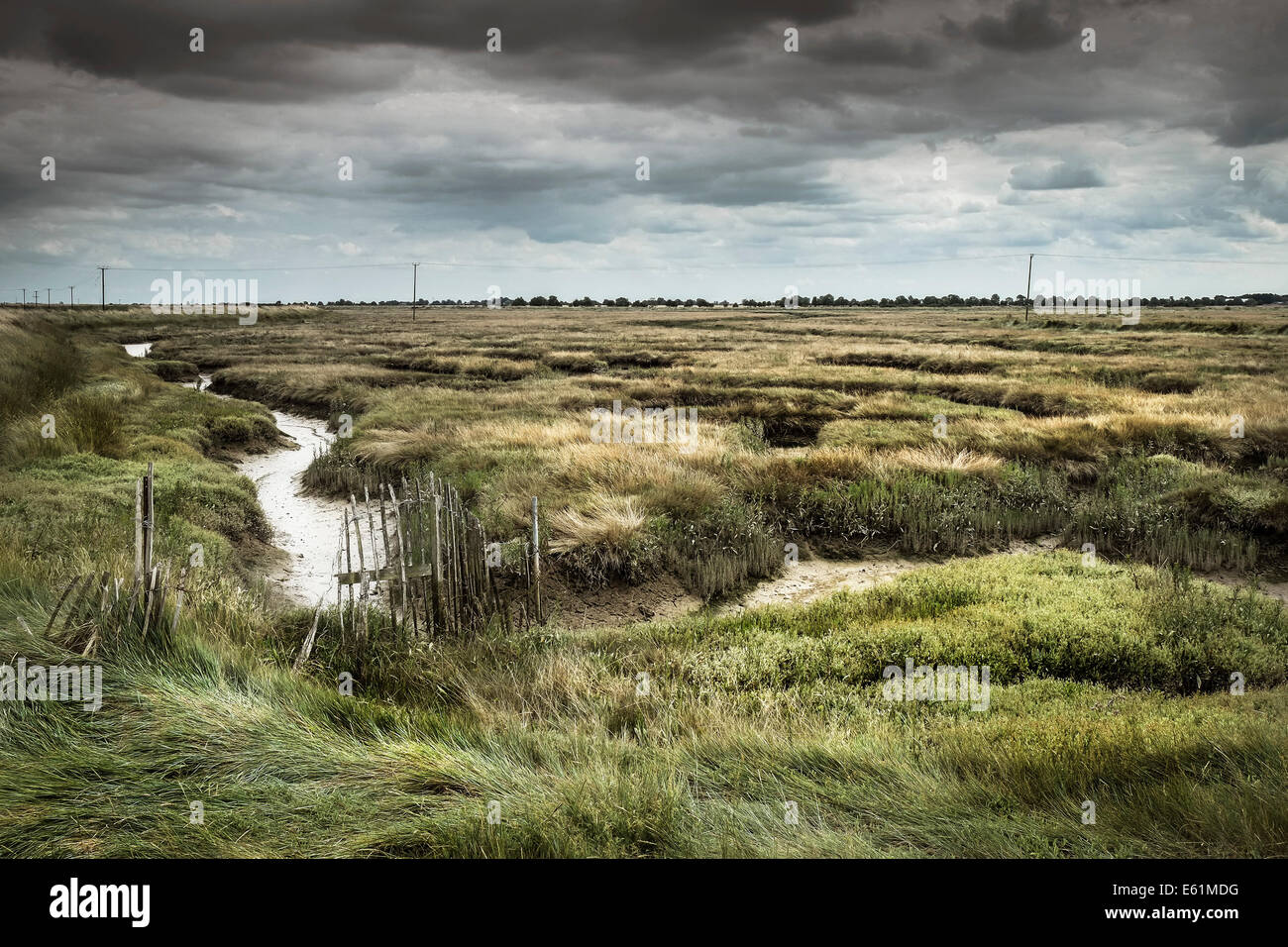 The saltings at Wallasea Island in Essex Stock Photo - Alamy