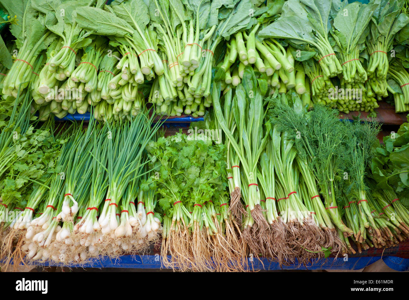 vegetable in thai market Stock Photo - Alamy