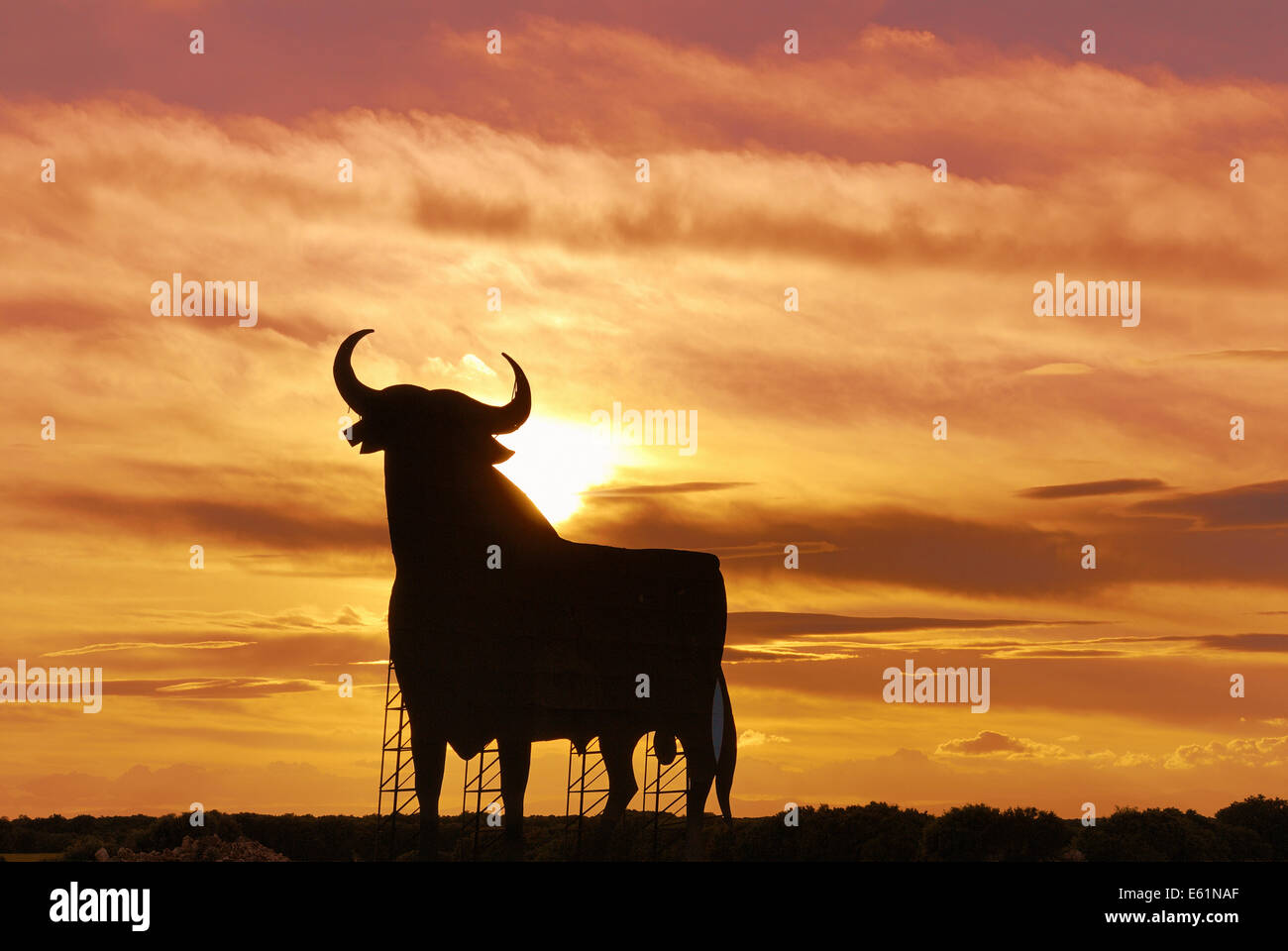 bull road sign dominating the spanish roads as an unofficial symbol ...