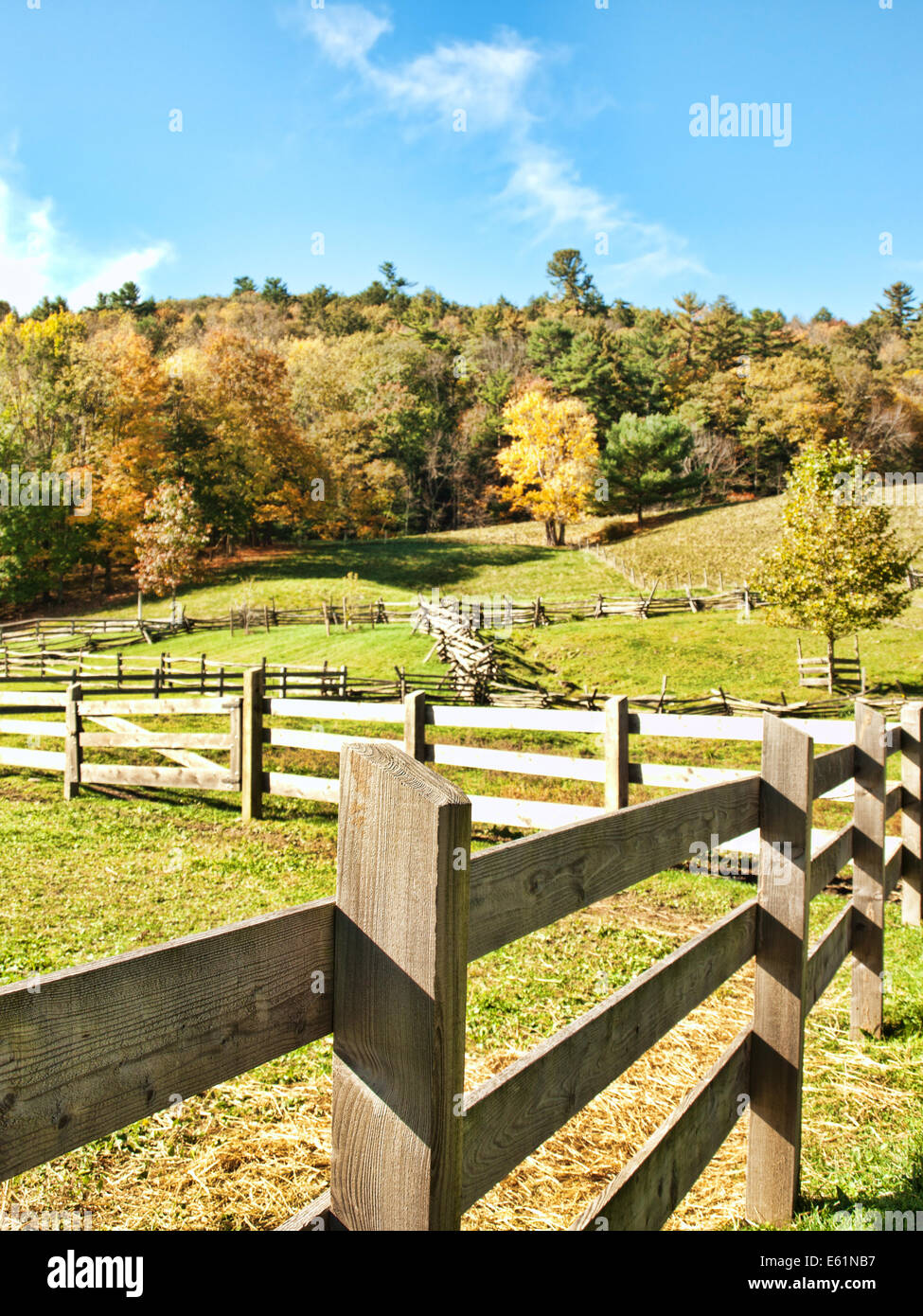 Trees tree fence fences fencing hi-res stock photography and images - Alamy