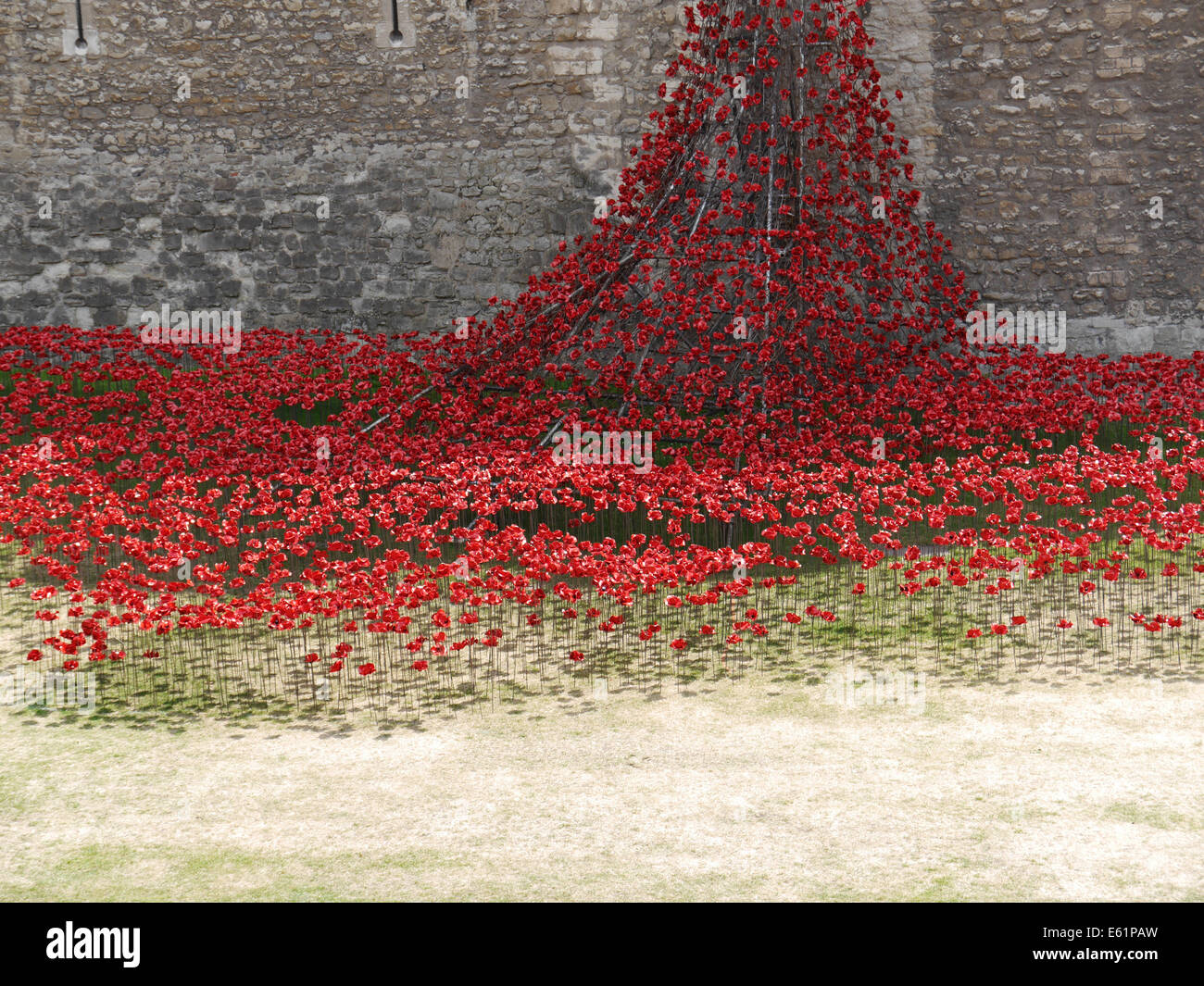 Cascade of poppies hi-res stock photography and images - Alamy