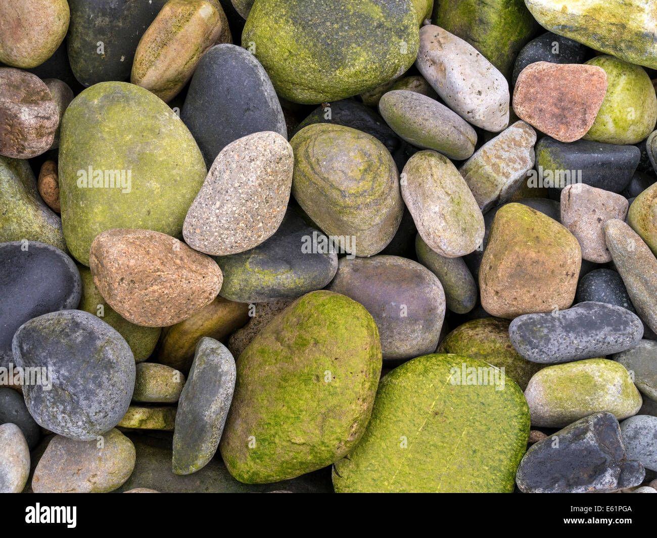 Colourful round beach pebbles, Isle of Skye, Scotland, UK Stock Photo ...