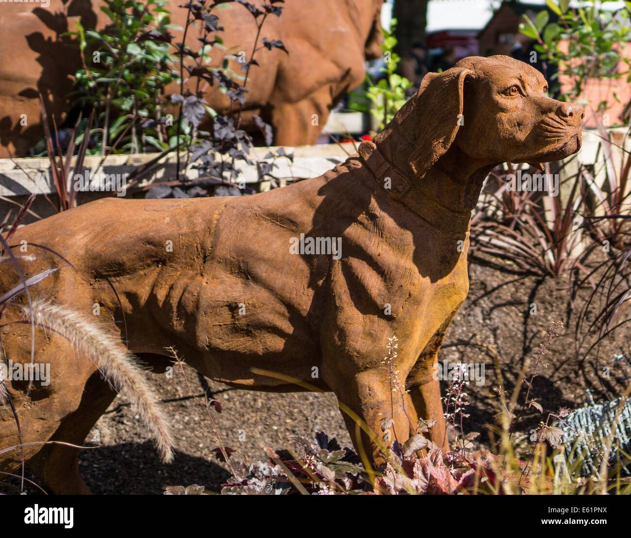 Rusty the dog hi-res stock photography and images - Alamy