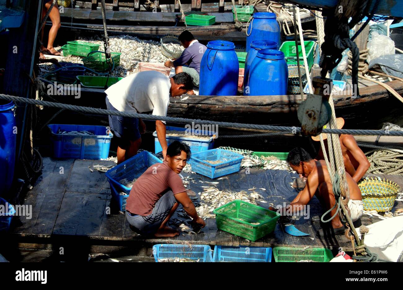PENANG, MALAYSIA: Fisherman sorting and boxing the morning's catch on ...