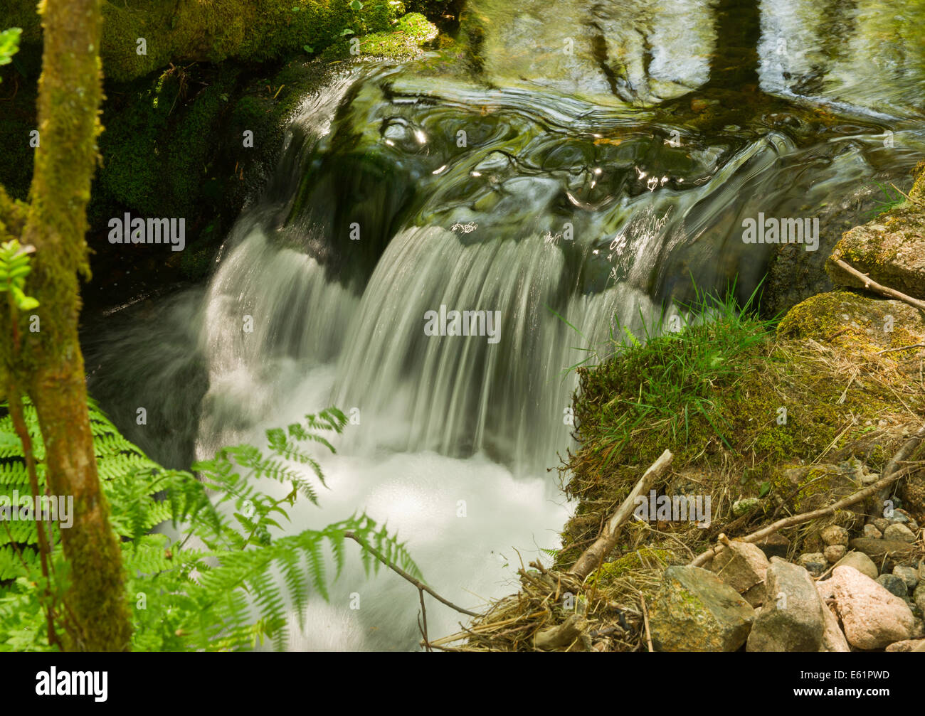 A small cascade of water flows over rocks, surrounded by greenery Stock ...