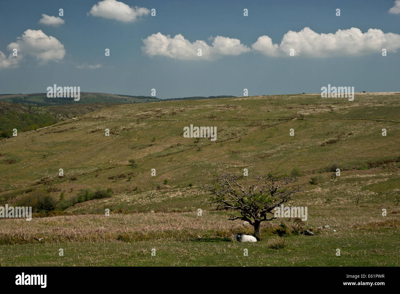 Shelter under tree hi-res stock photography and images - Alamy