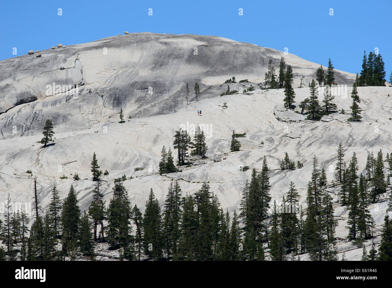Pothole Dome with two hikers on the flat rocks. Tuolumne Meadows ...