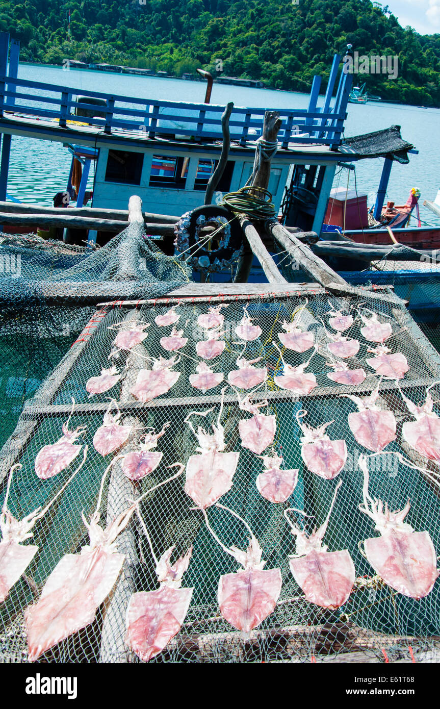 Octopus nets hi-res stock photography and images - Alamy