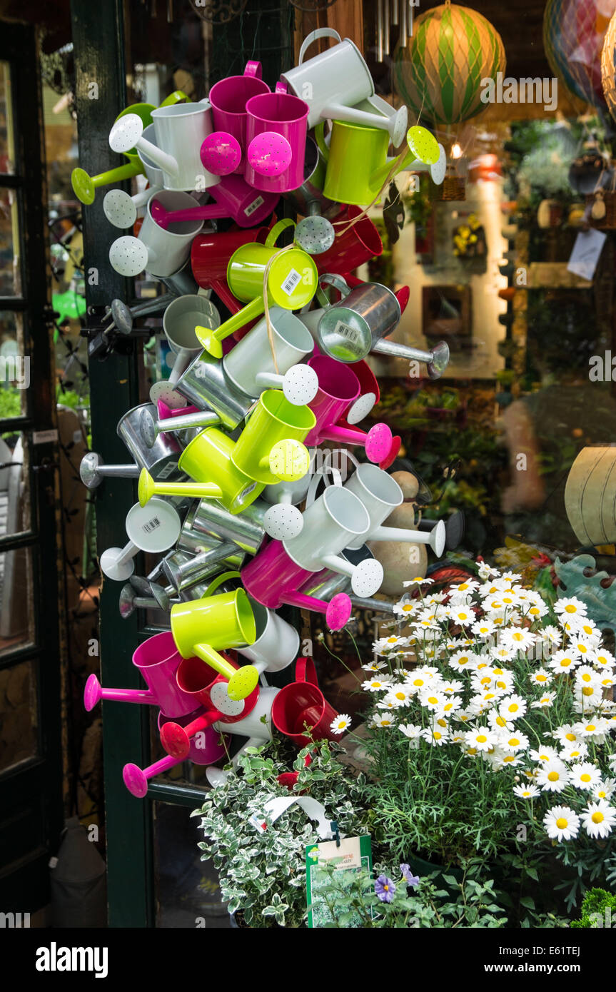 Flower market at Ile de la Cite in Paris, France Stock Photo - Alamy