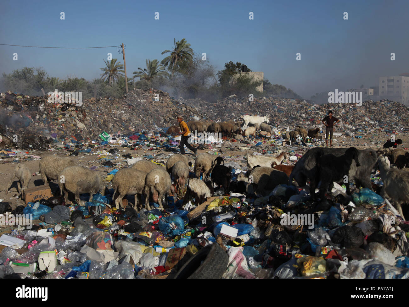 Gaza sanitation hi-res stock photography and images - Alamy
