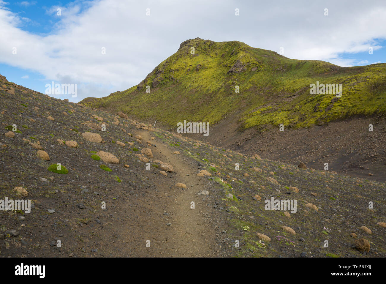 Nature of iceland Stock Photo - Alamy