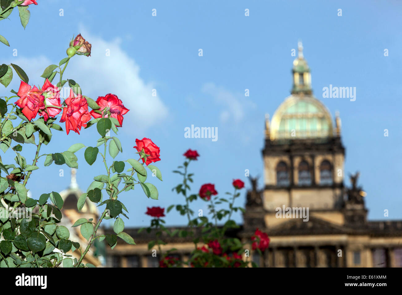 National museum building hi-res stock photography and images - Alamy