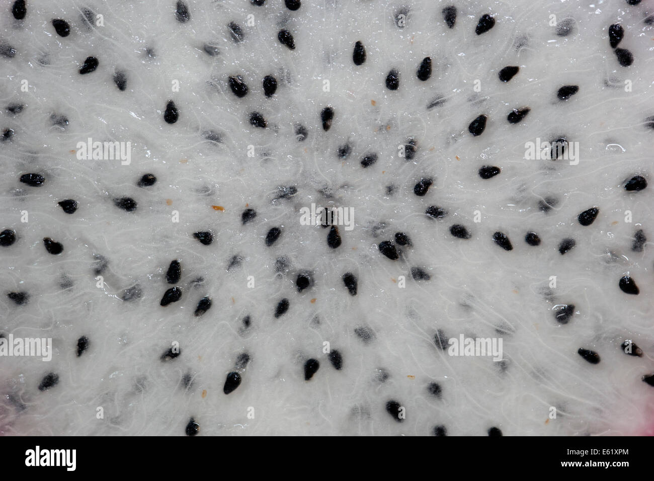 Dragon Fruit Cross Section Macro Stock Photo - Alamy