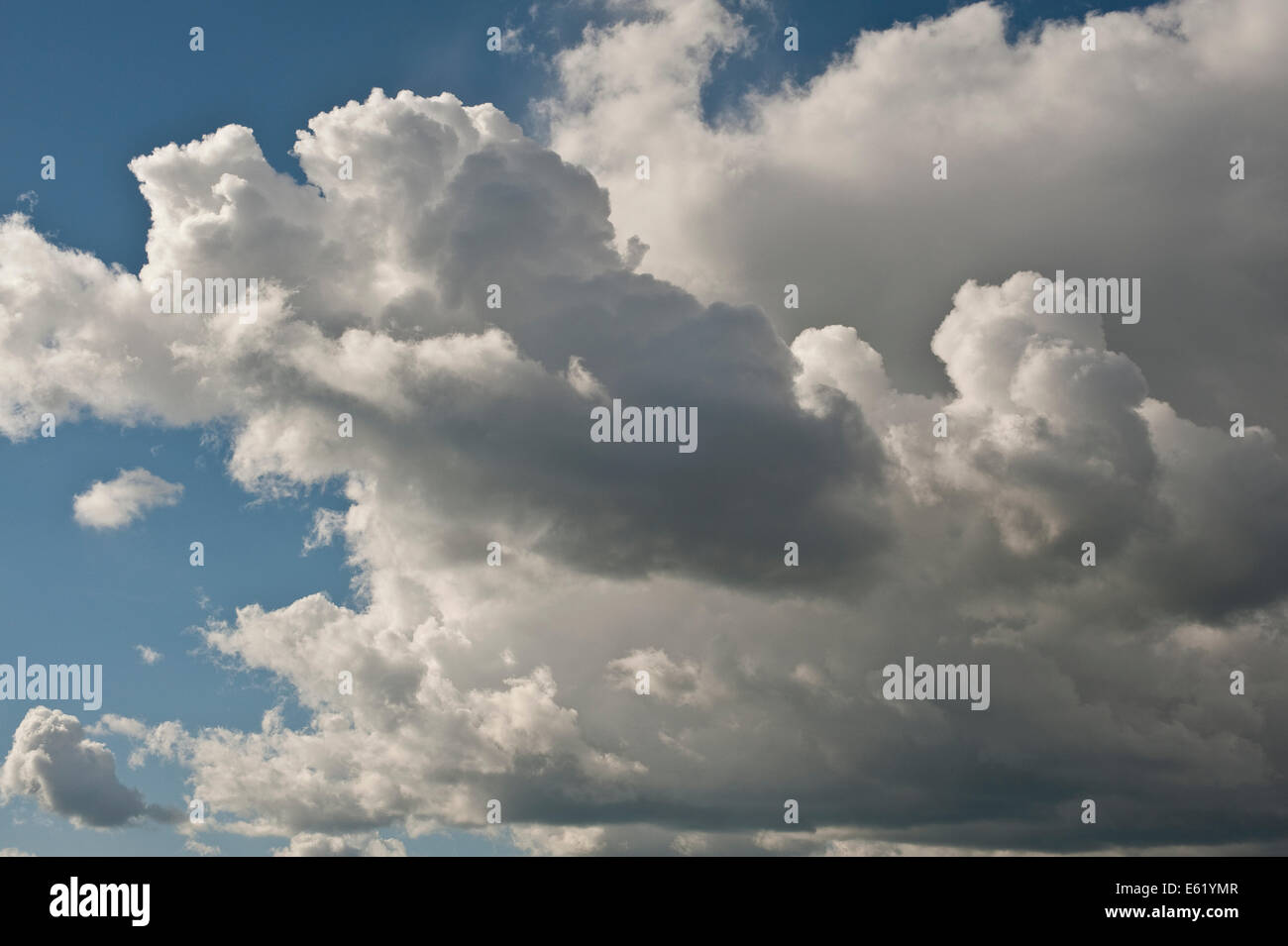 Congestus hi-res stock photography and images - Alamy