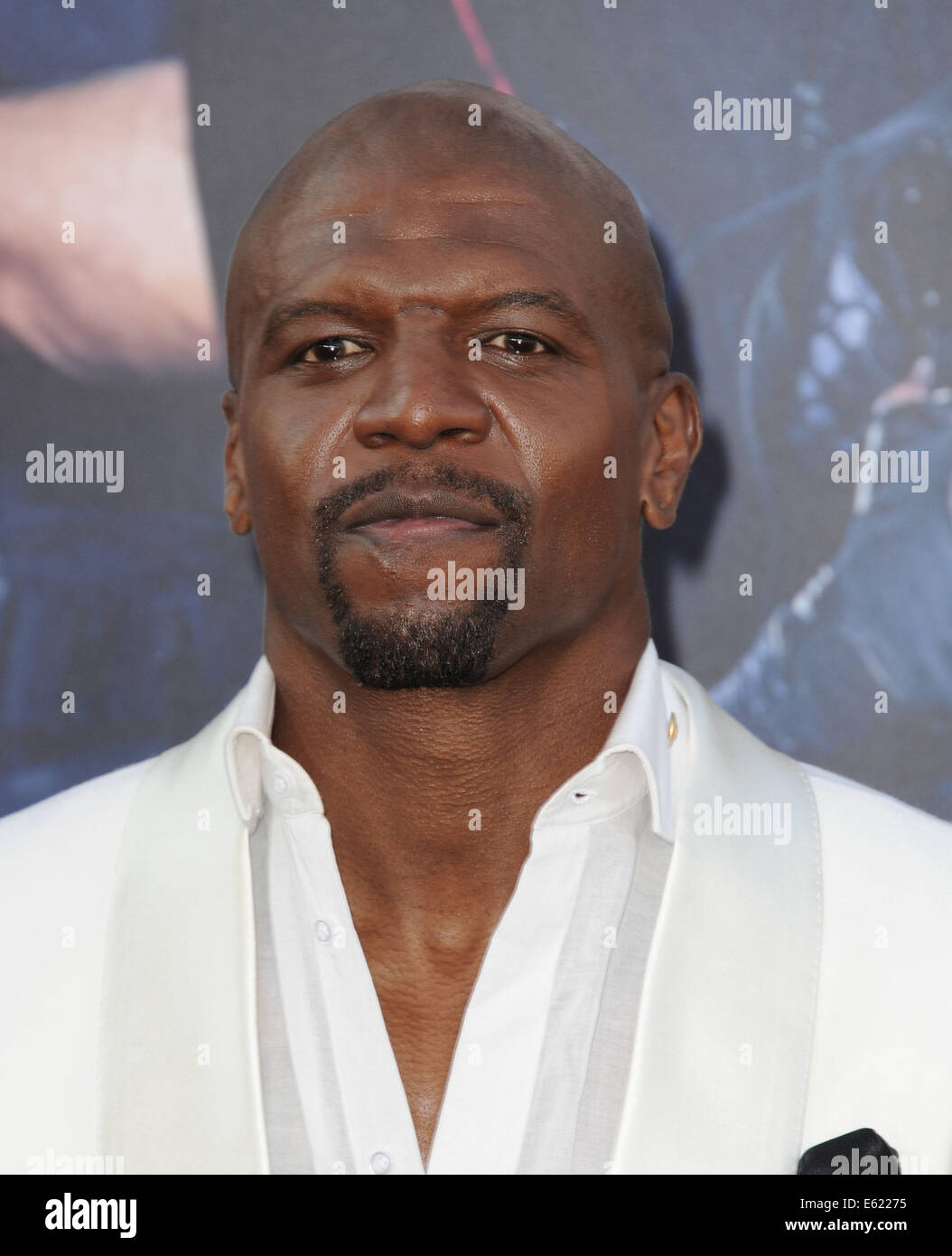 Los Angeles, California, USA. 11th Aug, 2014. Terry Crews attending the ...