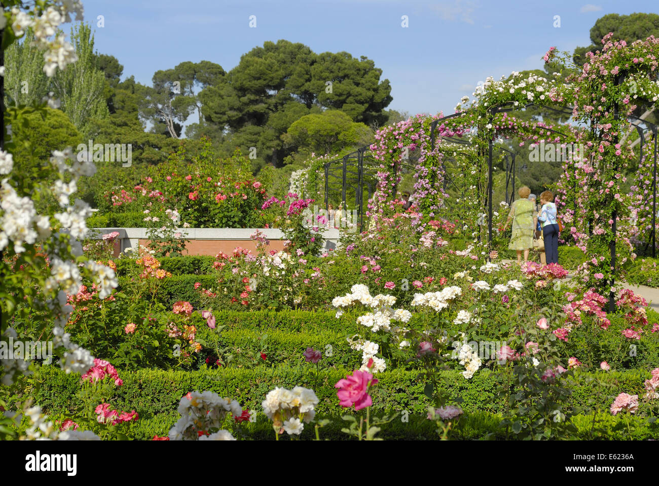 Rose garden in Retiro Park, Madrid, Spain Stock Photo - Alamy