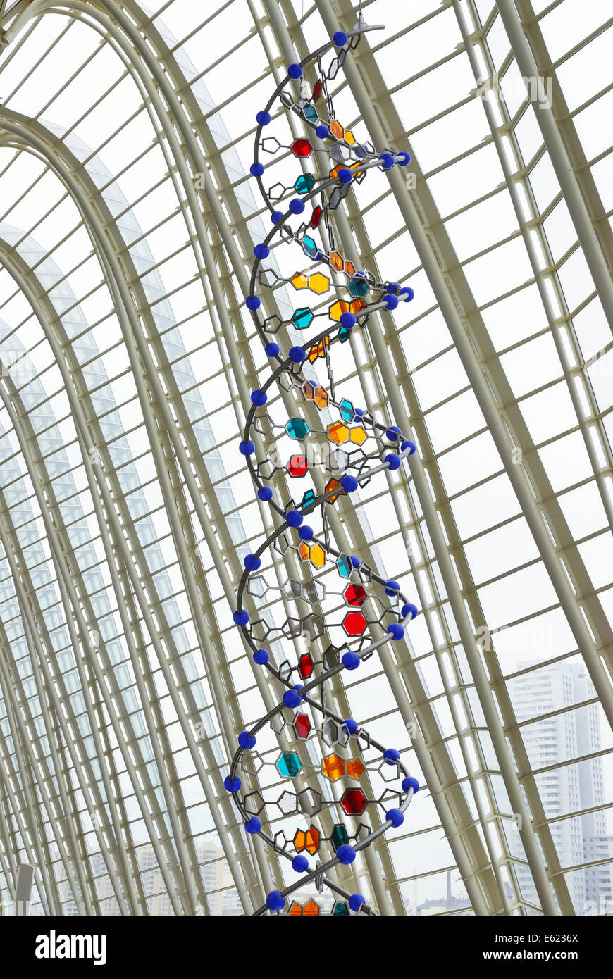 Double helix dna model science museum hi-res stock photography and ...