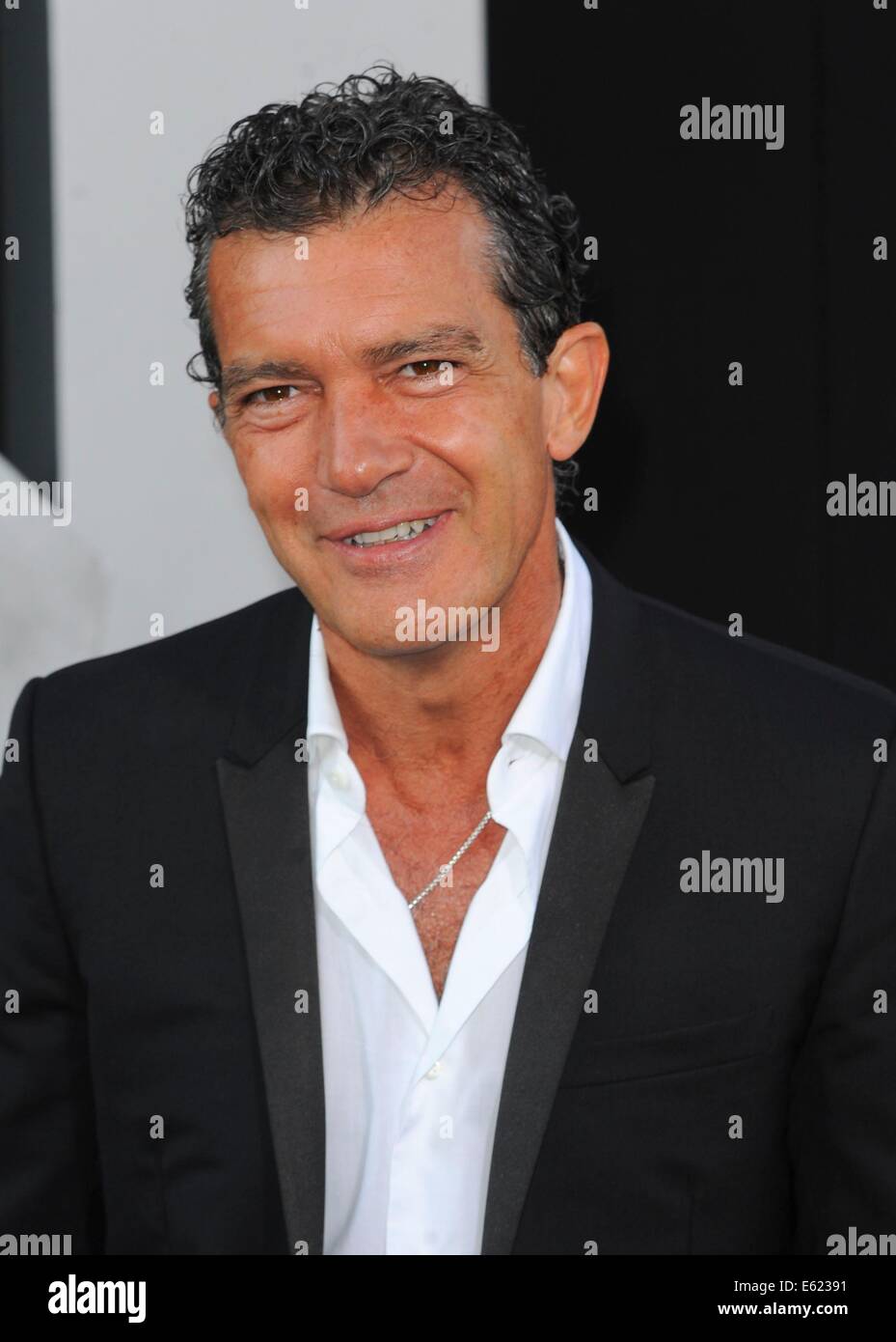 Los Angeles, CA, USA. 11th Aug, 2014. Antonio Banderas at arrivals for ...