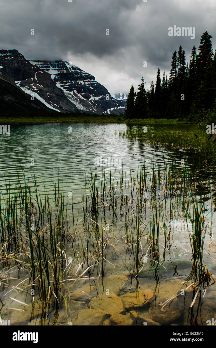 Scenic mountain hiking views, Berg Lake Trail, Mount Robson Provincial ...