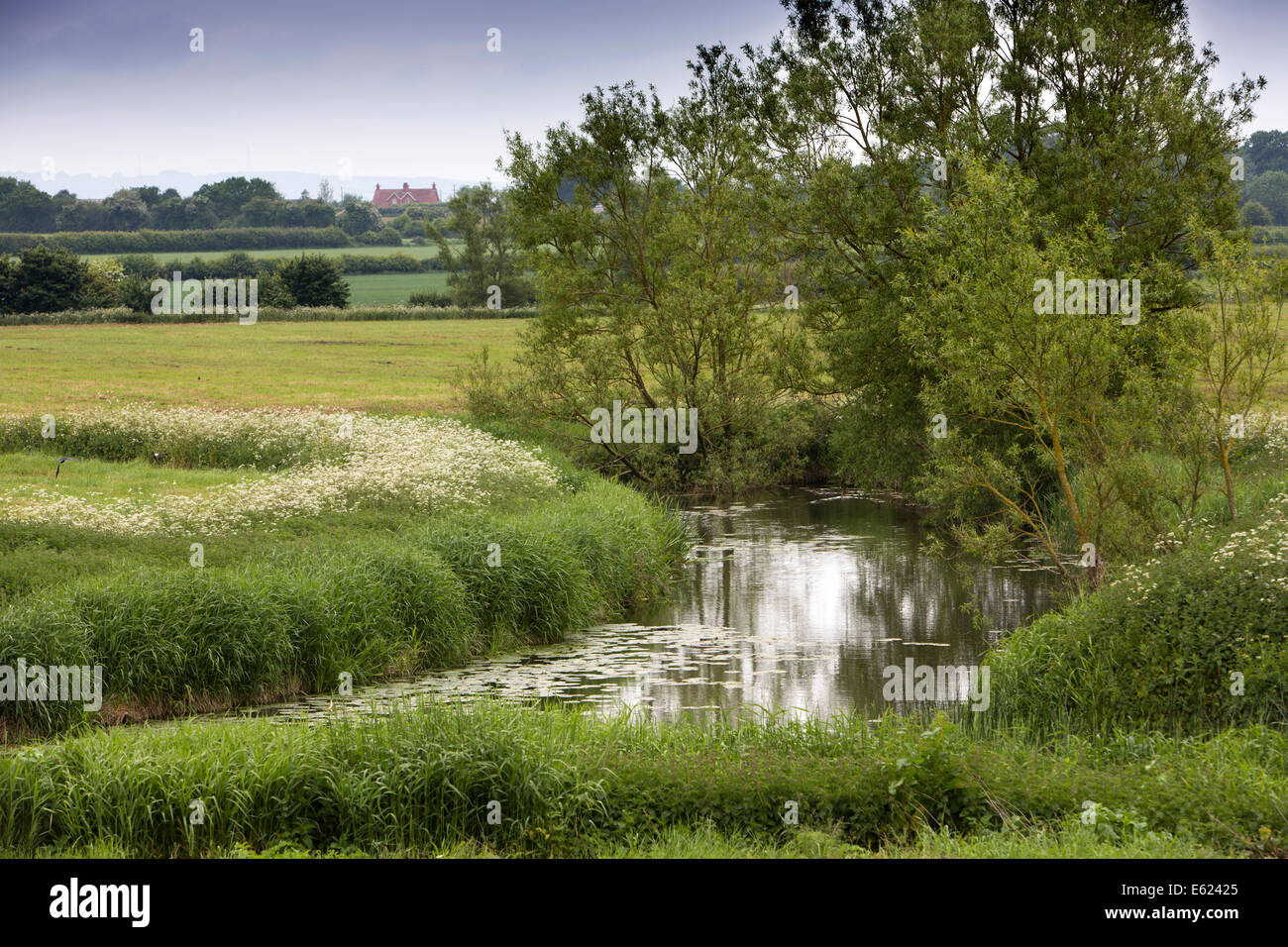 King's mill marnhull dorset hi-res stock photography and images - Alamy