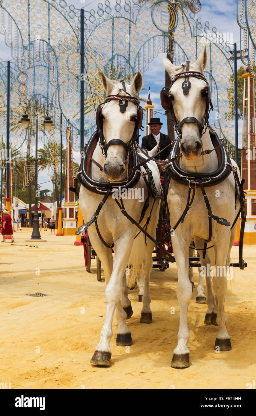 Coachman with horses hi-res stock photography and images - Alamy