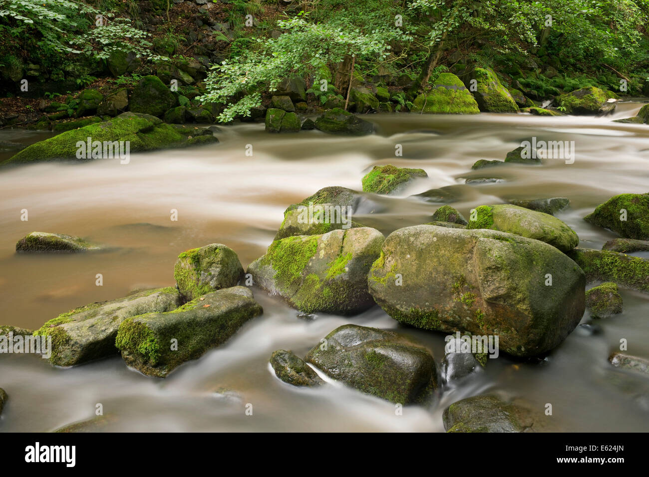 Bode mountain river, Nature Reserve and National Geotope Bode Gorge ...