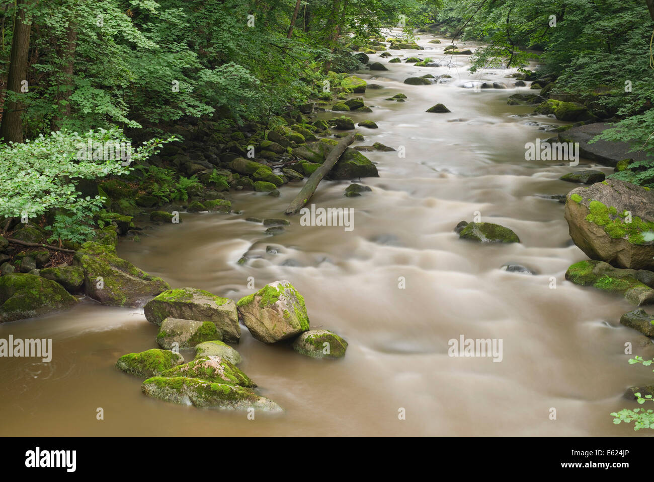 Bode mountain river, Nature Reserve and National Geotope Bode Gorge ...