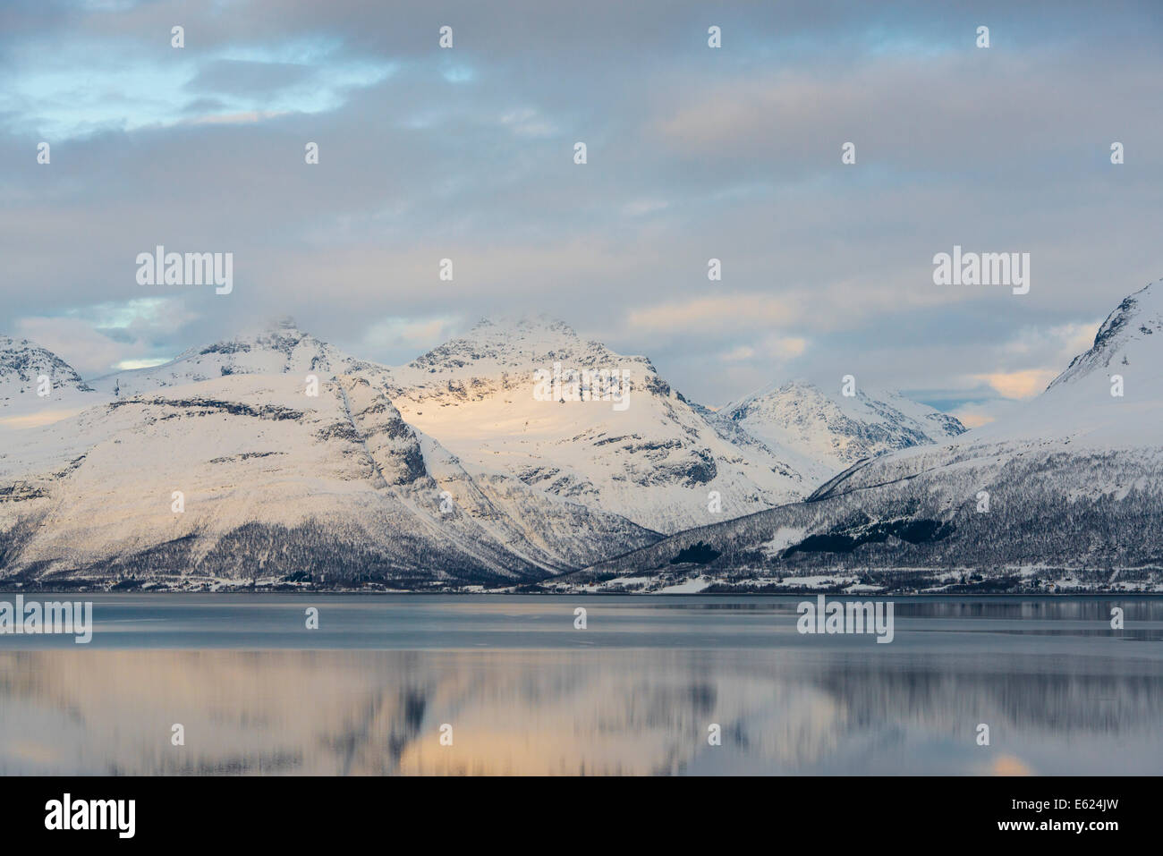 Fjord in winter, Balsfjord, Northern Norway, Norway Stock Photo - Alamy