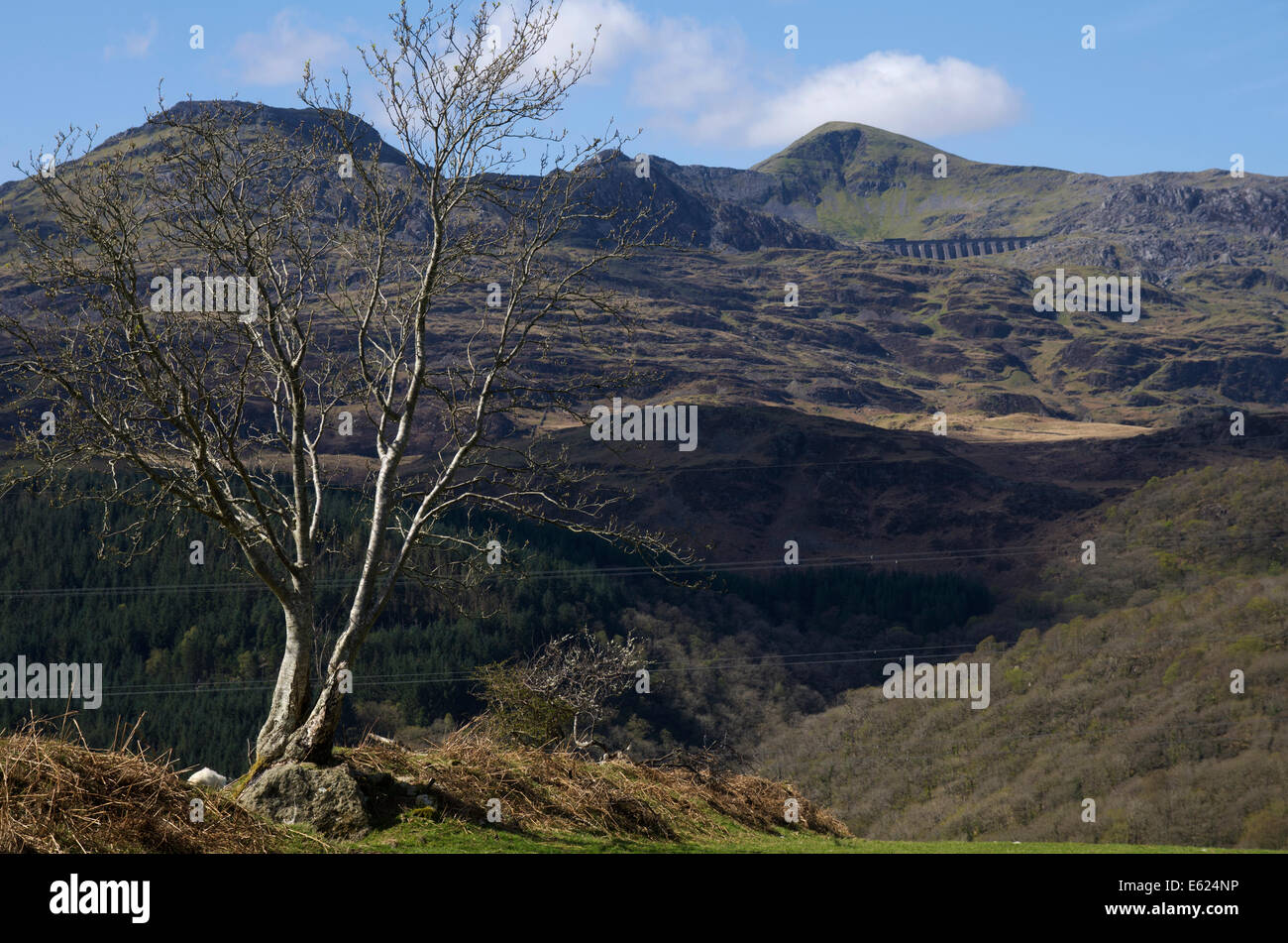 Stwlan dam hi-res stock photography and images - Alamy