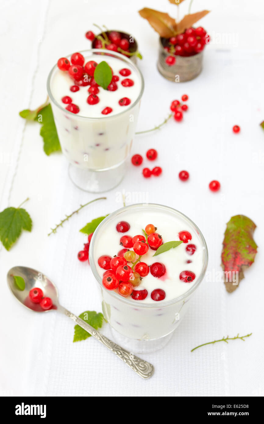 Natural yogurt with fresh red currants Stock Photo - Alamy
