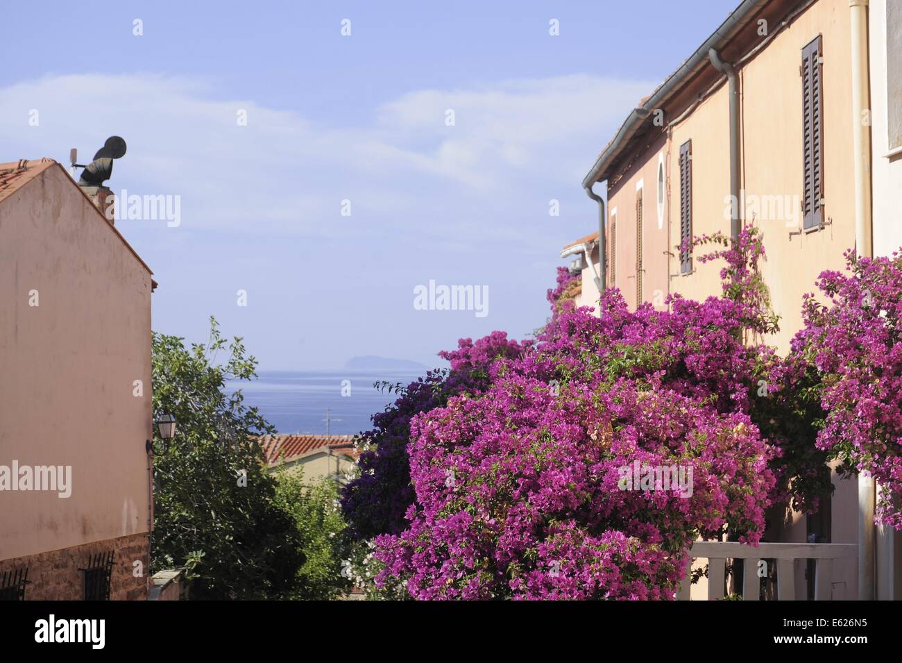 Capraia island (Tuscan Archipelago, Italy), houses of the village Stock ...