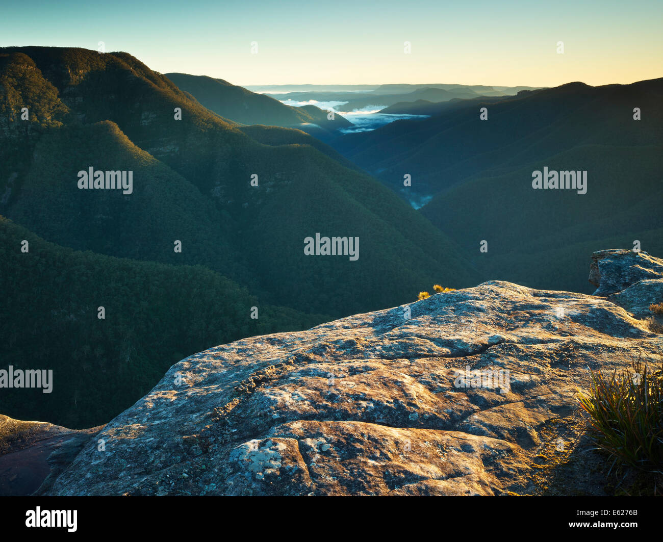 Kanagra national park hi-res stock photography and images - Alamy