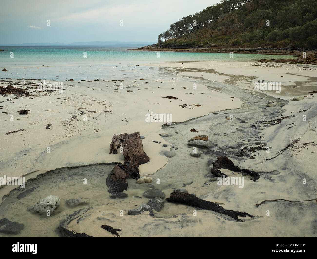 A weathered tree stump sits half buried with a host of rock, and ...