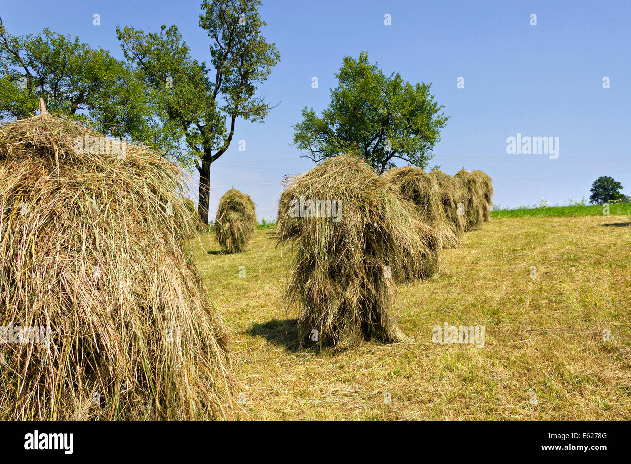 Traditional haystacks hi-res stock photography and images - Alamy