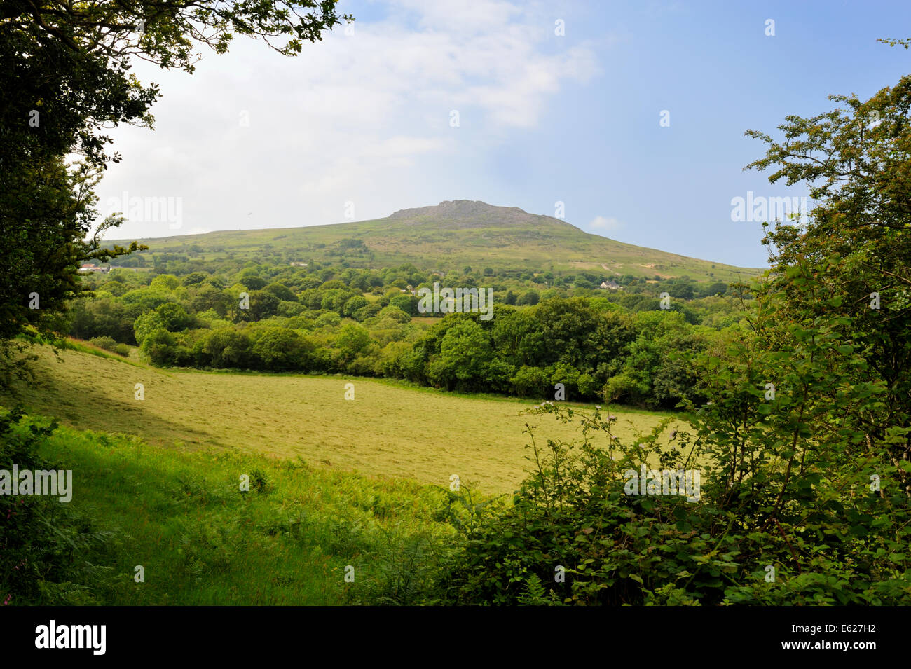 Carn Ingli mountain in Pembrokeshire Wales near Newport Stock Photo - Alamy