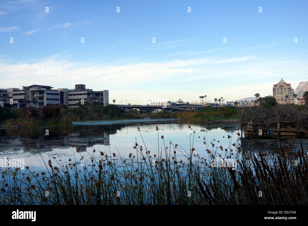 Intaka Island Bird Sanctuary with Canal Walk shopping Center and Table ...